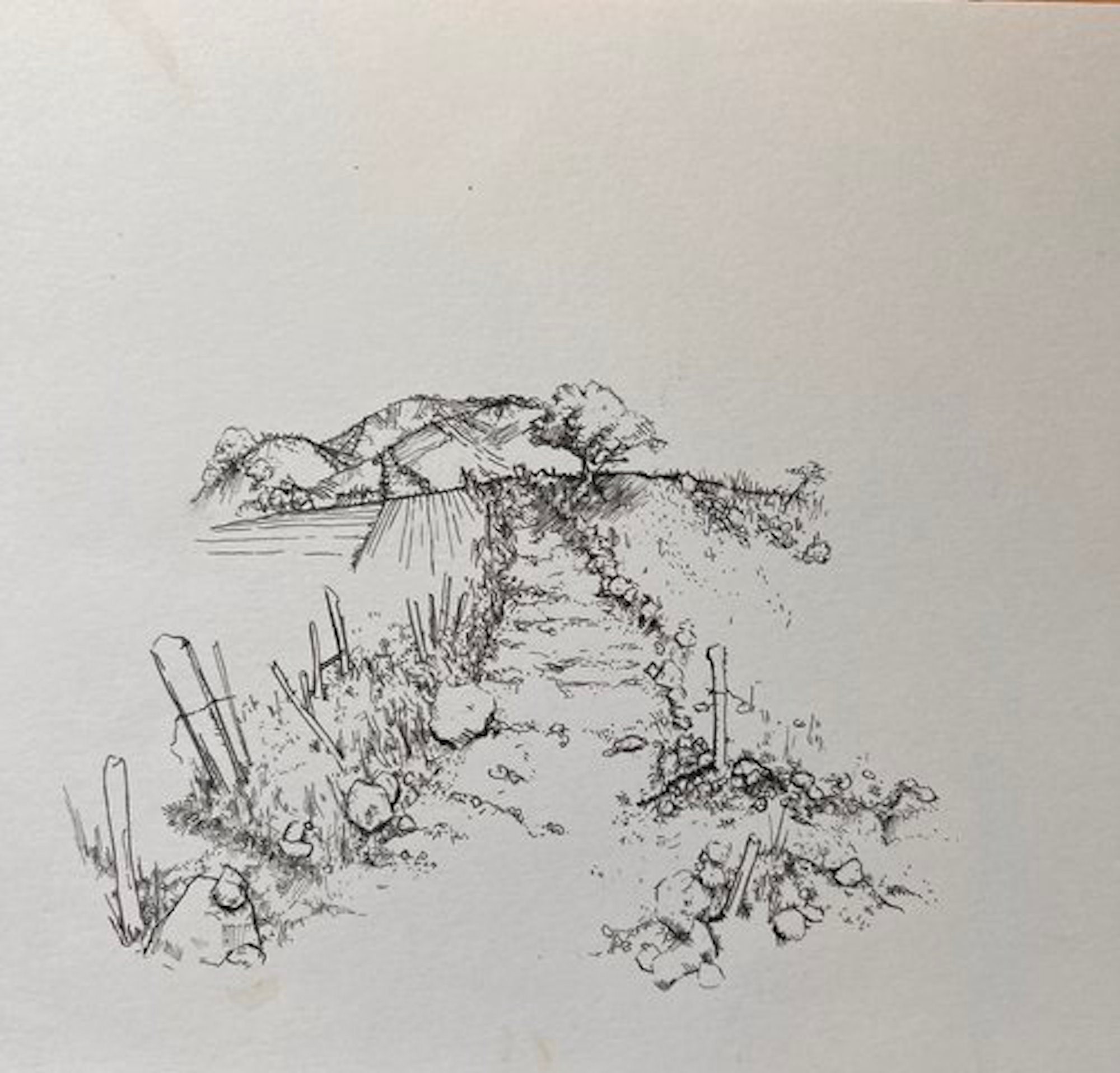 Pen Drawing of the Road Less Travelled, a Country Footpath in a Natural ...