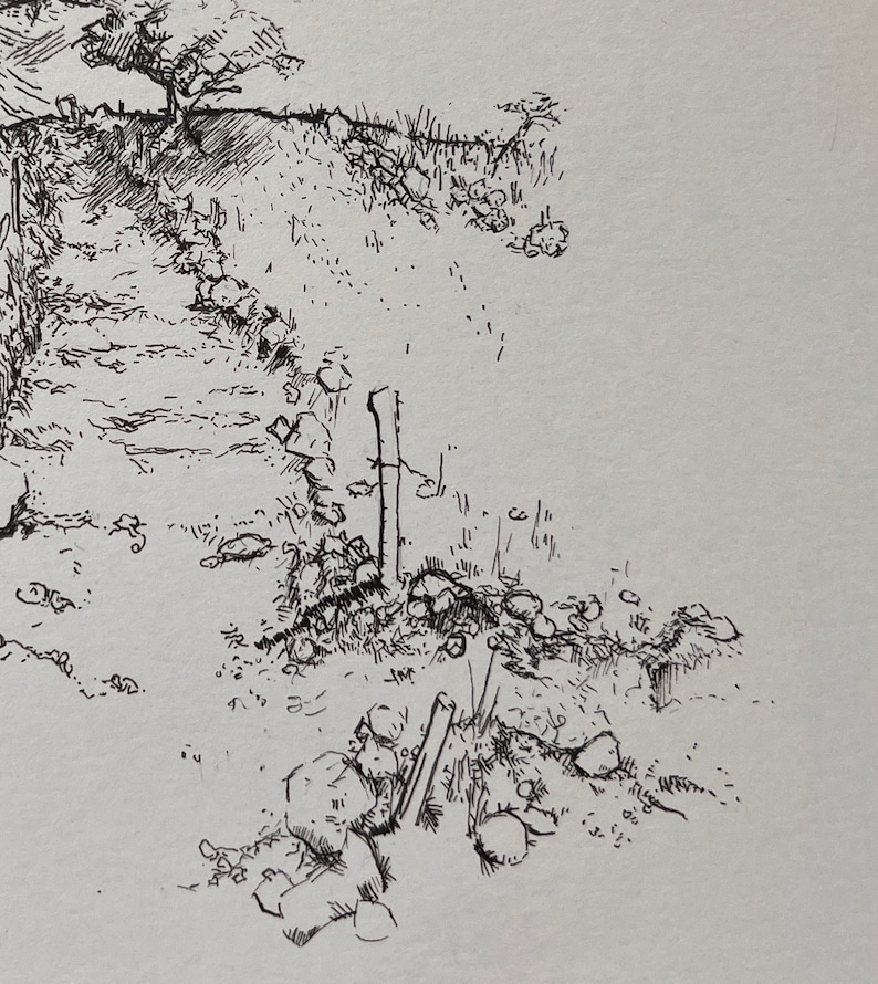 Pen Drawing of the Road Less Travelled, a Country Footpath in a Natural ...