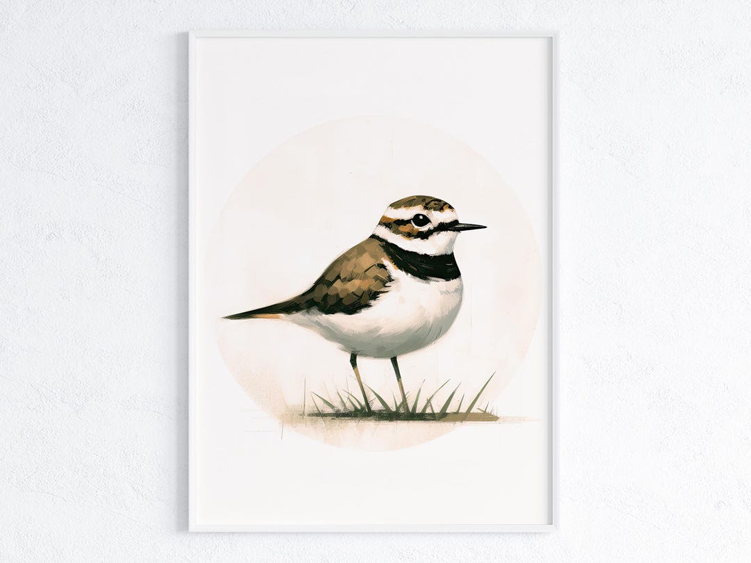 Killdeer Art Print Digital Painting | Birds Wall Art | North American ...