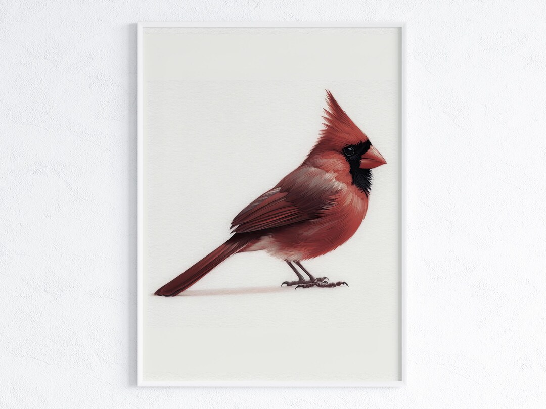 Northern Cardinal Art Print Digital Painting | Birds Wall Art | North ...