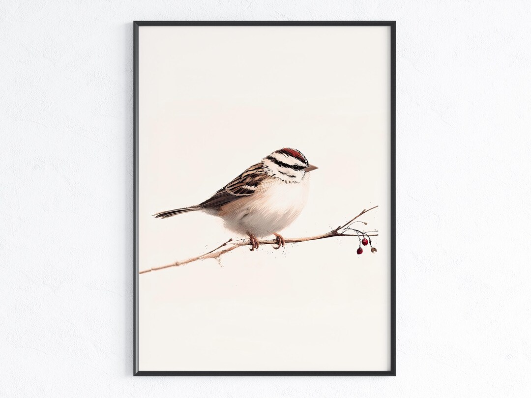 Chipping Sparrow Art Print Digital Painting | Birds Wall Art | North ...