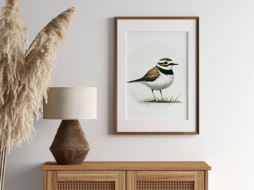 North American Bird Killdeer Painting Bird Wall Art Instant Download ...