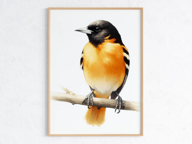 Baltimore Oriole Painting | Bird Art Print | PRINTABLE Wall Art ...