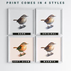 Carolina Wren Art Print Digital Painting | Birds Wall Art | North ...