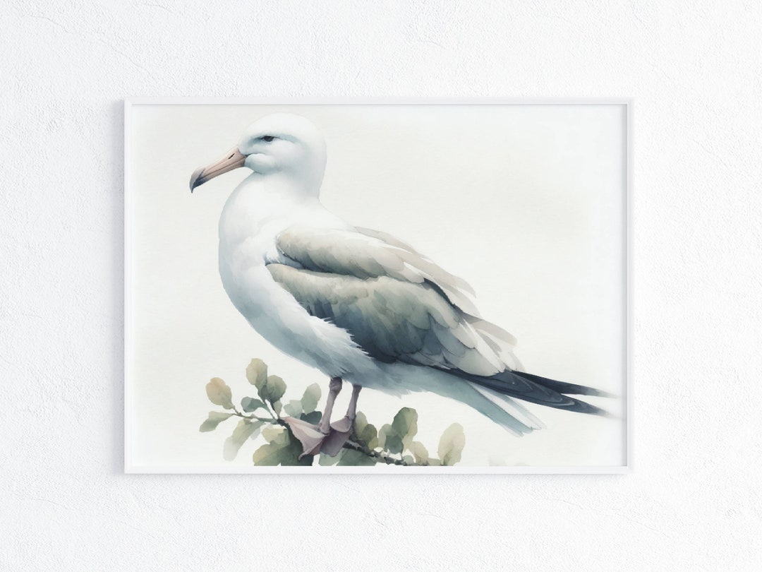 Seagull Art Print | PRINTABLE | Bird Wall Art | Digital Download - Etsy