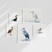 8 Prints Water Birds Wall Art PRINTABLE Egret, Plover, Limpkin, Blue ...