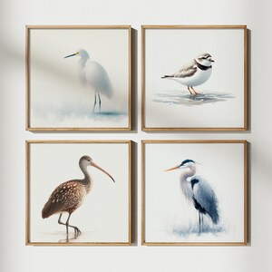 8 Prints | Water Birds Wall Art | PRINTABLE | Egret, Plover, Limpkin ...