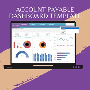 Accounts Payable Dashboard Template: Excel Payment Management - Etsy