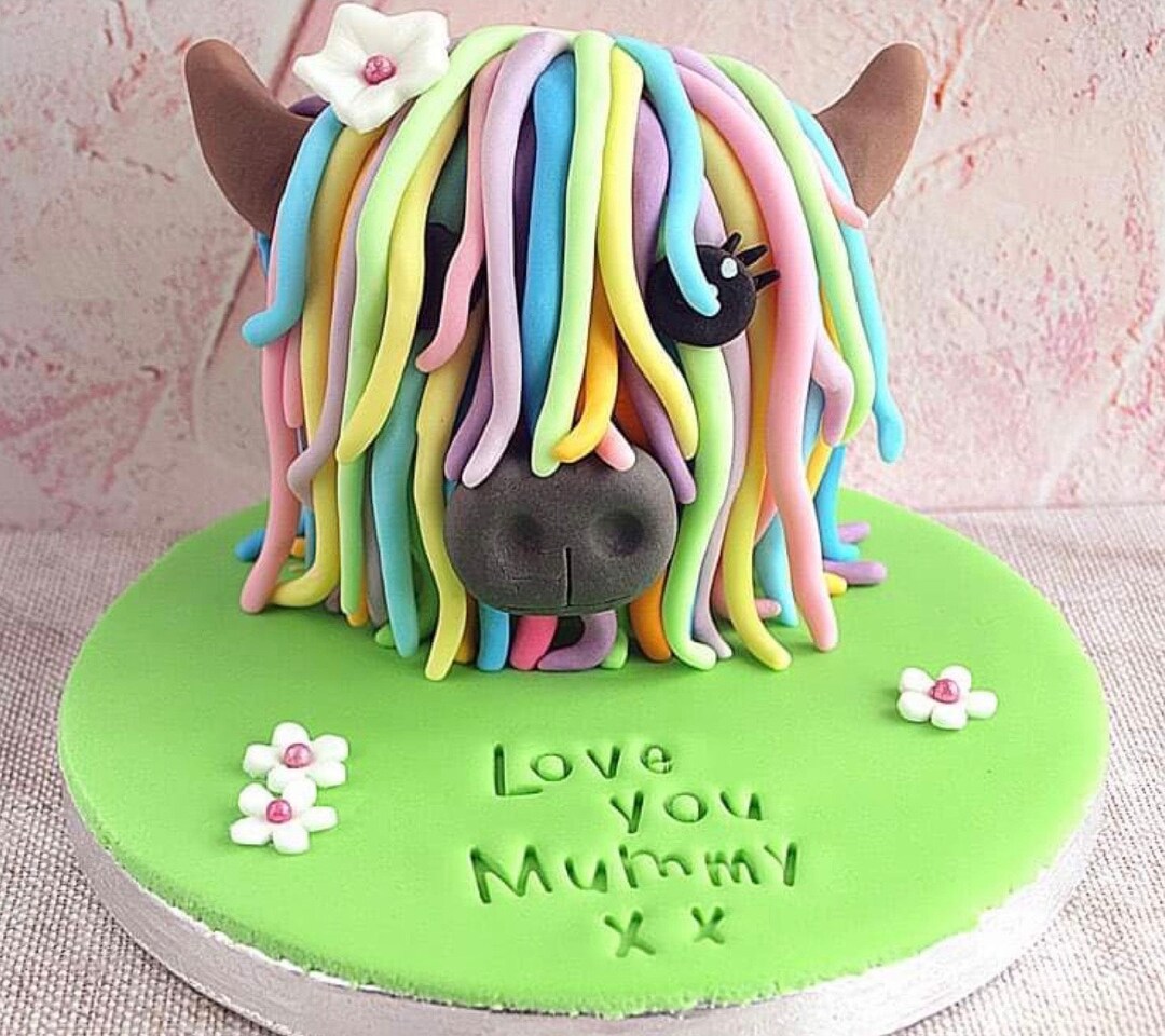 Terrys Chocolate Orange Highland Cow, Handmade, Sugar Paste, Gift, Farm ...