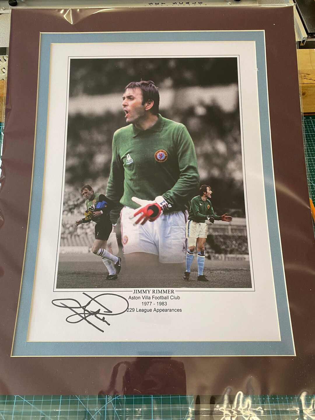 Aston Villa Legend Jimmy Rimmer Personally Signed Limited Edition Print ...
