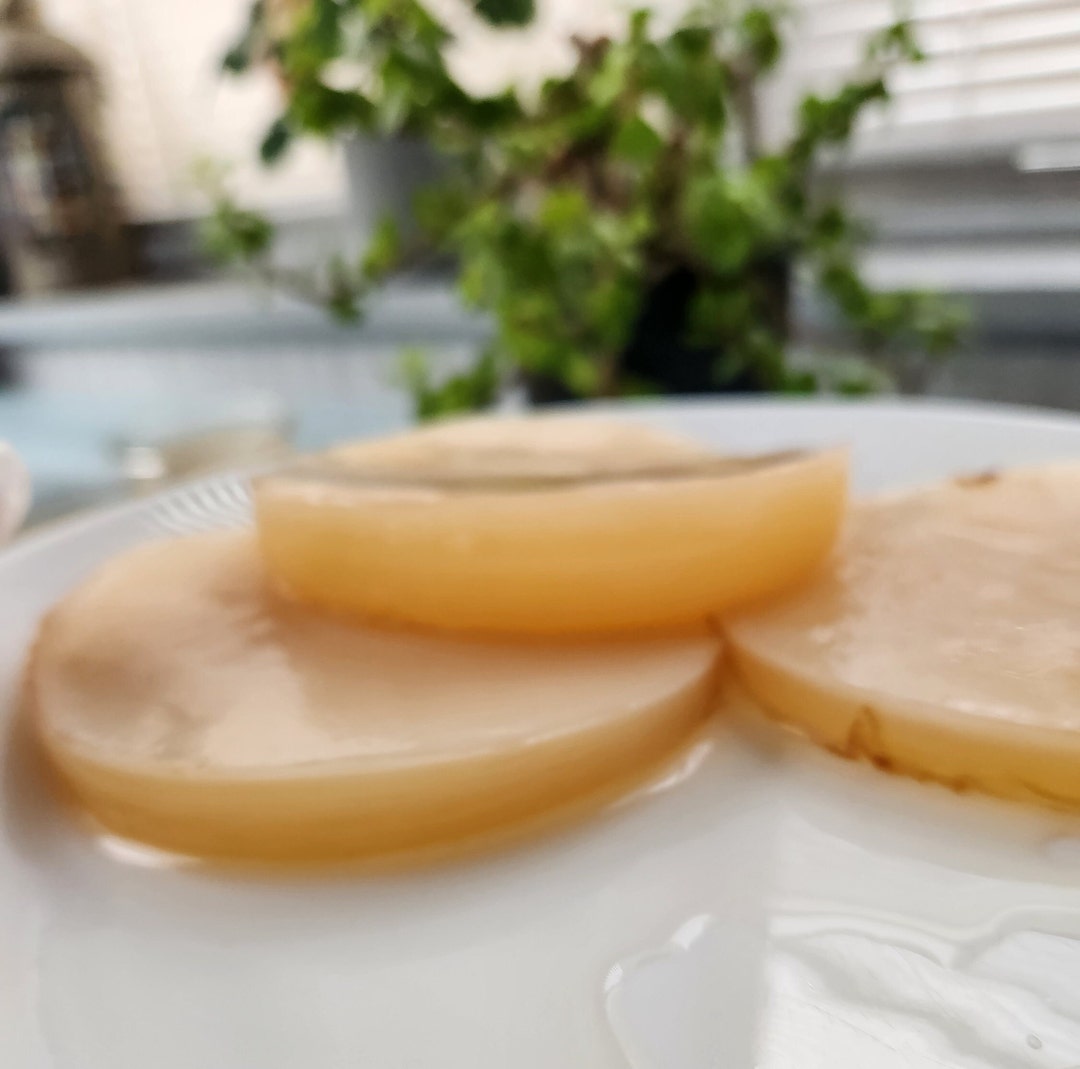 9 Extra Large Kombucha SCOBY - Etsy