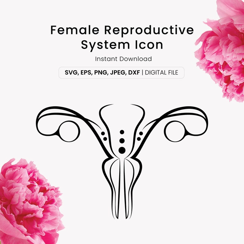 Female Reproductive System Icon Cricut Cut File Fertility Gynaecology ...
