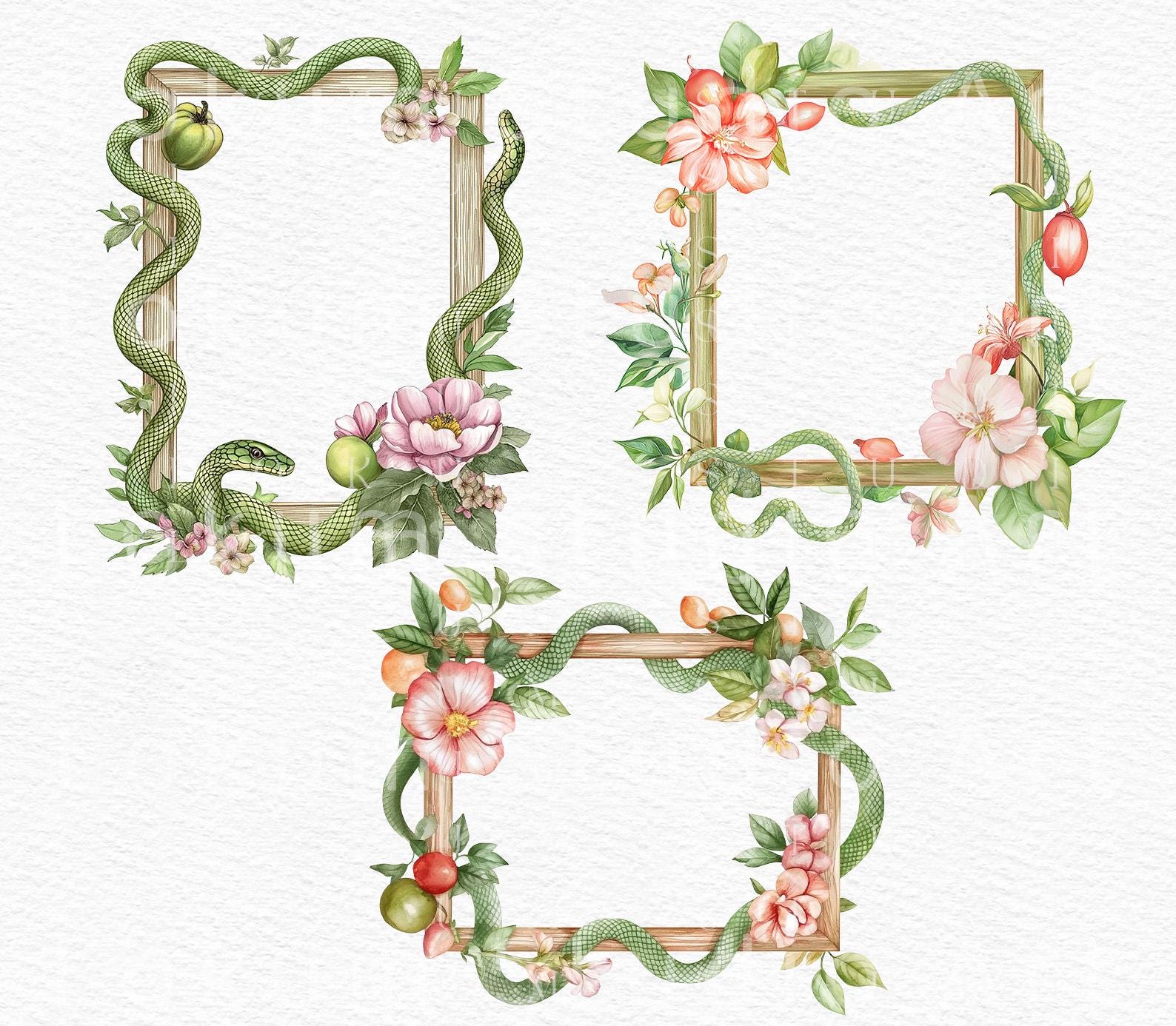 Cozy Vintage Snake Frames Natural Kundalini Spiritual Clip Art Graphics ...