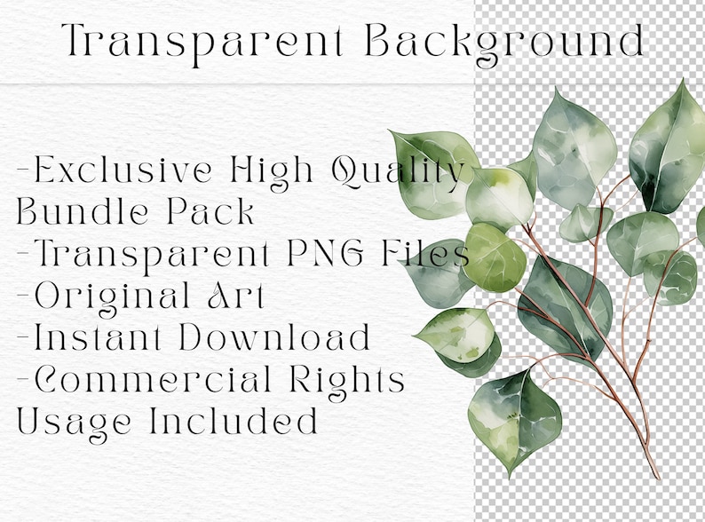 Watercolor Eucalyptus Clipart Digital Download Leaf PNG Greenery ...