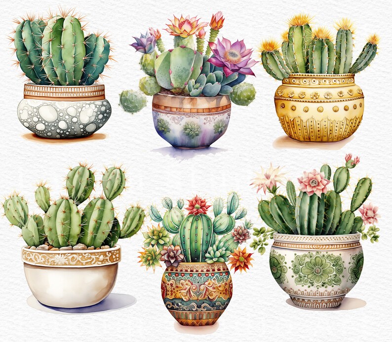 Watercolor Cactus Clipart Digital Download Leaf PNG Ceramic Vase ...
