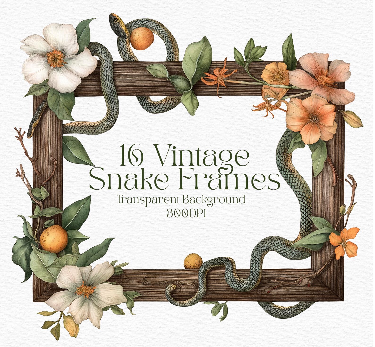 Cozy Vintage Snake Frames Natural Kundalini Spiritual Clip Art Graphics ...