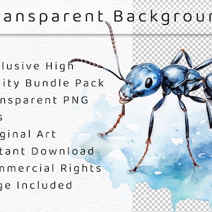 Watercolor Ant Clipart Animals PNG Clip Art Ant Digital Download ...