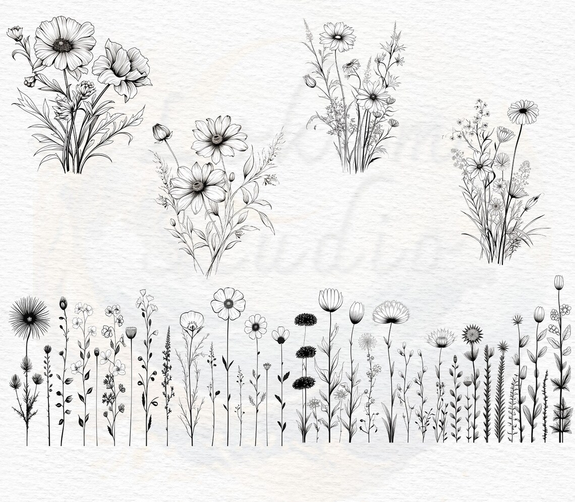 Wildflowers Line Art, Wild Flowers Frames Botanical Hand Drawn Line Art ...