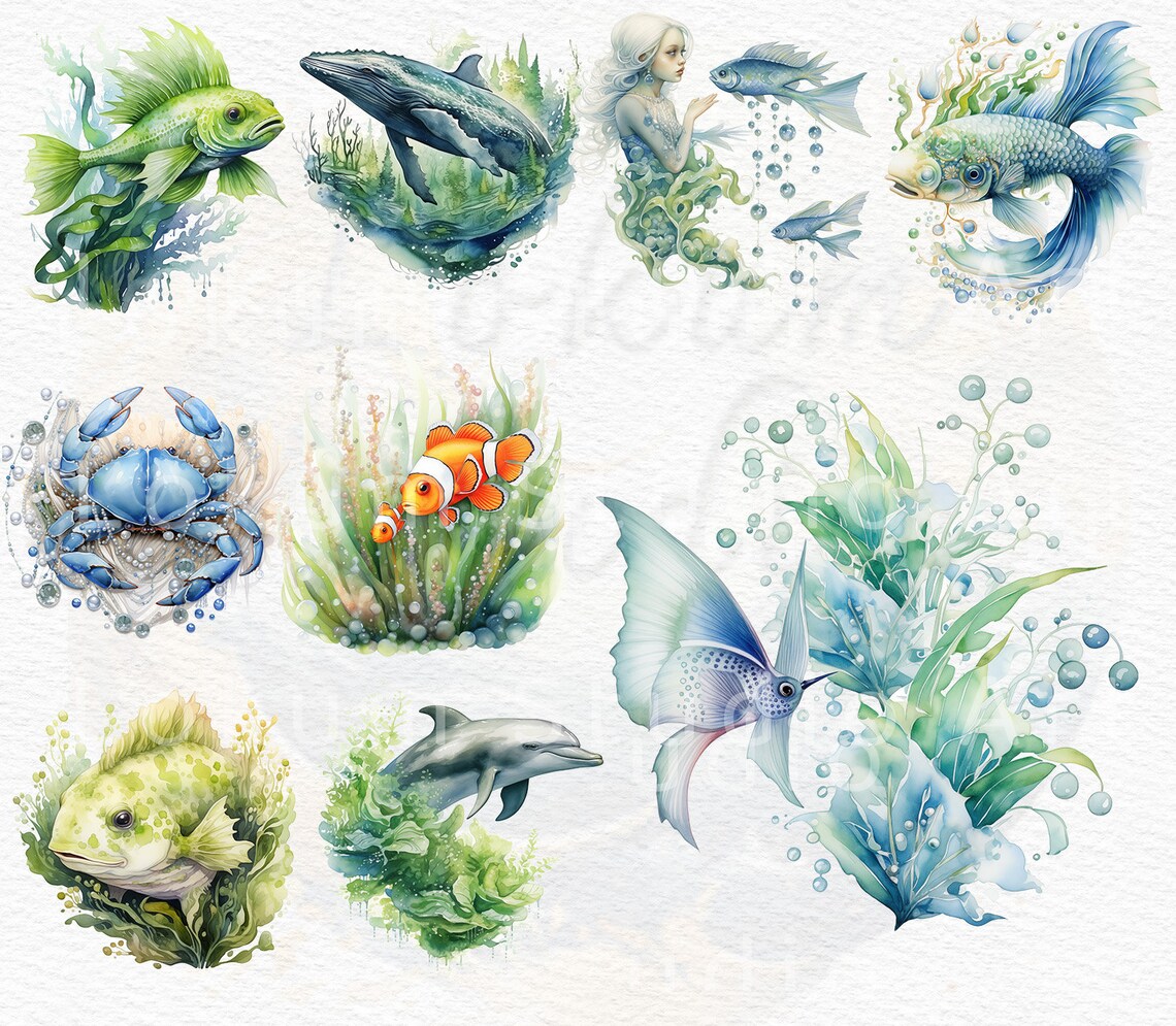 Majestic Undersea Creatures Clipart Bundle Illustration Digital ...