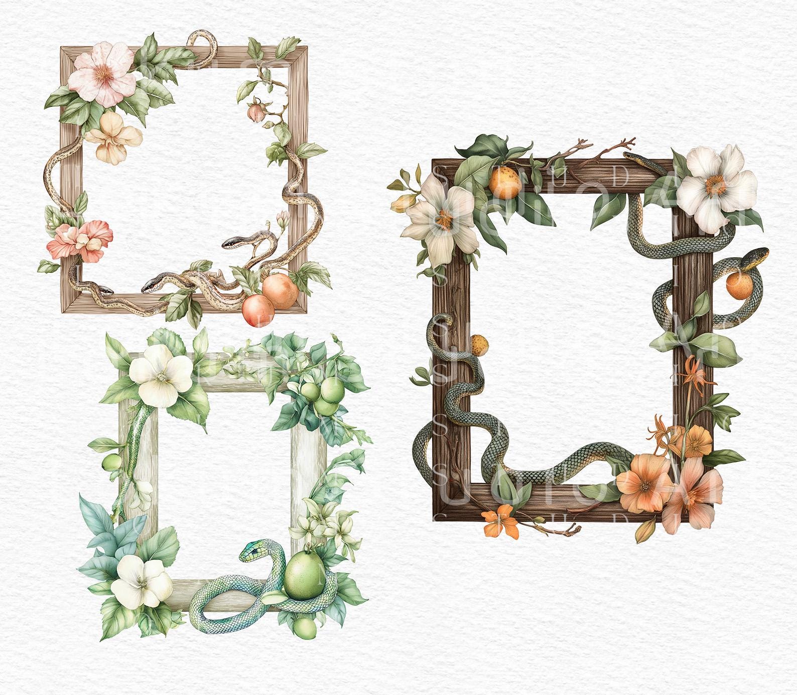 Cozy Vintage Snake Frames Natural Kundalini Spiritual Clip Art Graphics ...