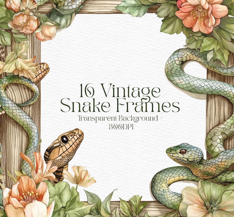 Cozy Vintage Snake Frames Natural Kundalini Spiritual Clip Art Graphics ...