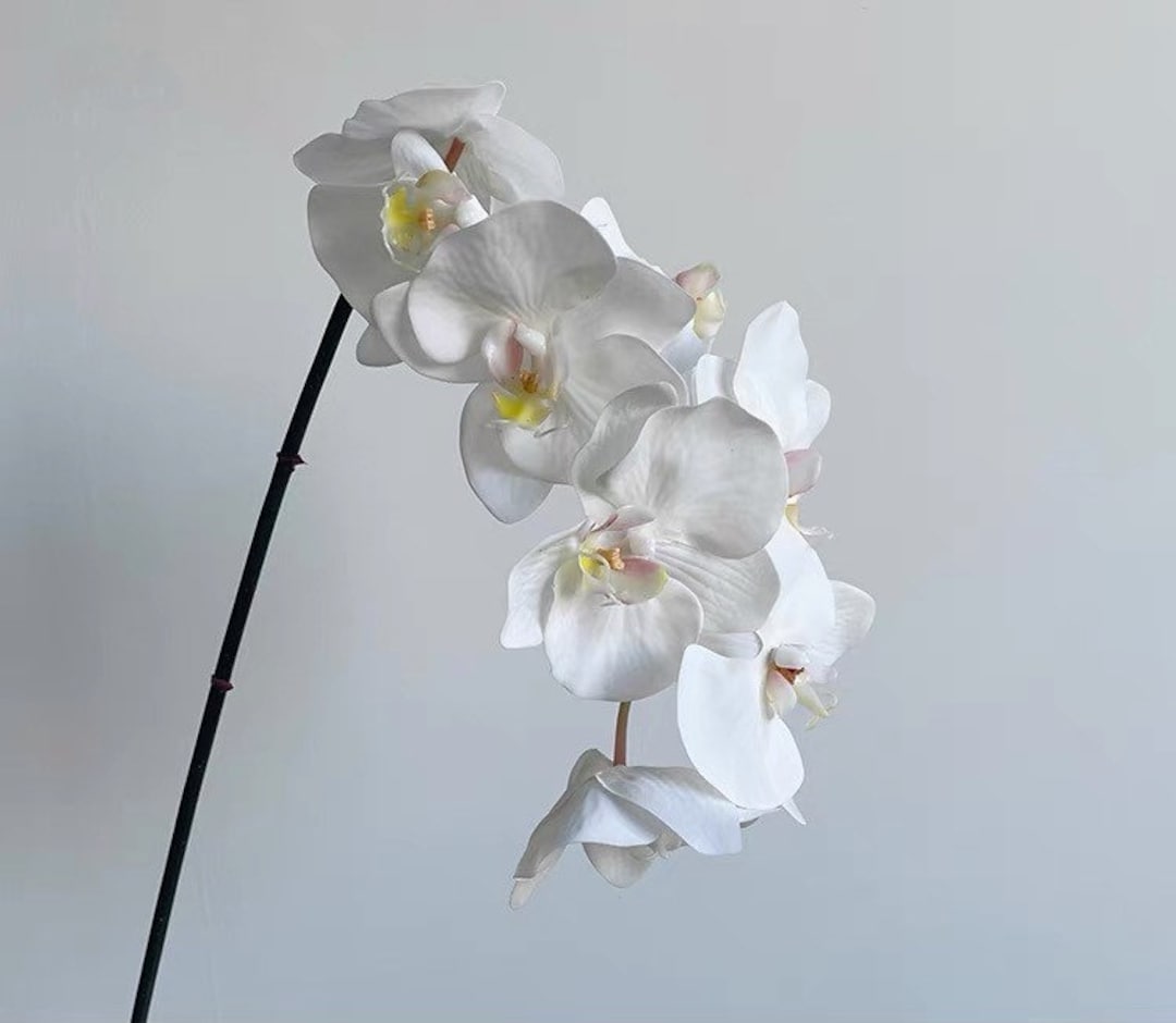 Real Touch Orchid /8 Heads/ High Quality Artificial Flower / DIY ...