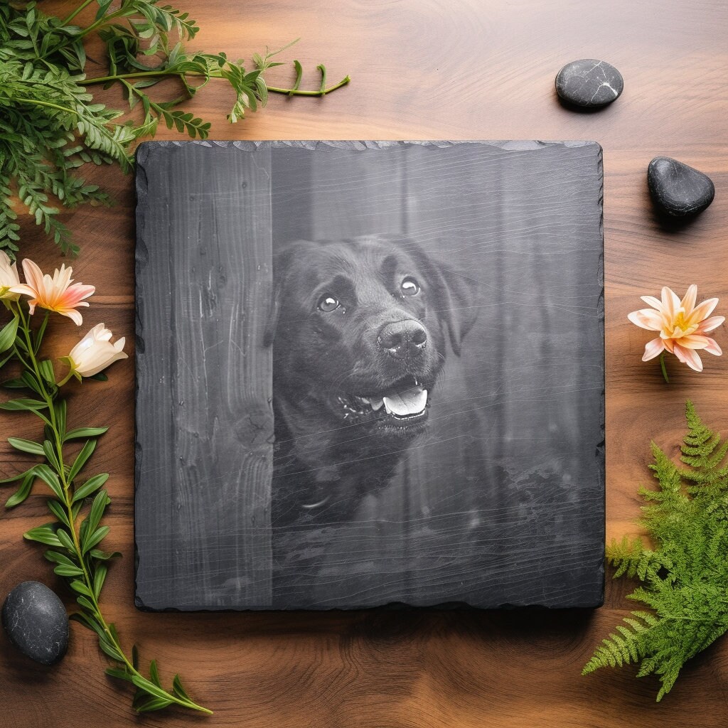 Labrador Dog Breed Portrait 2D Laser Engraving File Slate PNG Coaster ...