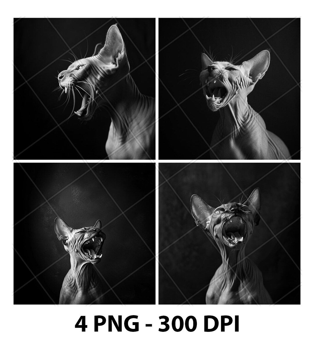 Sphynx Cat Breed Kitten Kitty Pet Laser Engraving File Slate PNG ...