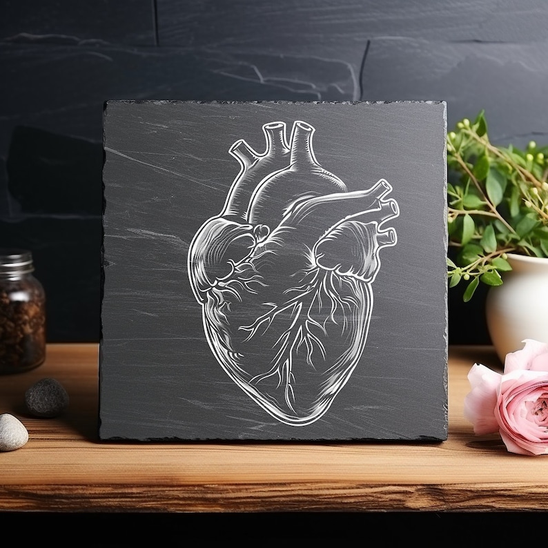 Human Heart Cardiac Anatomy 2D Laser Engraving File Slate PNG Coaster ...
