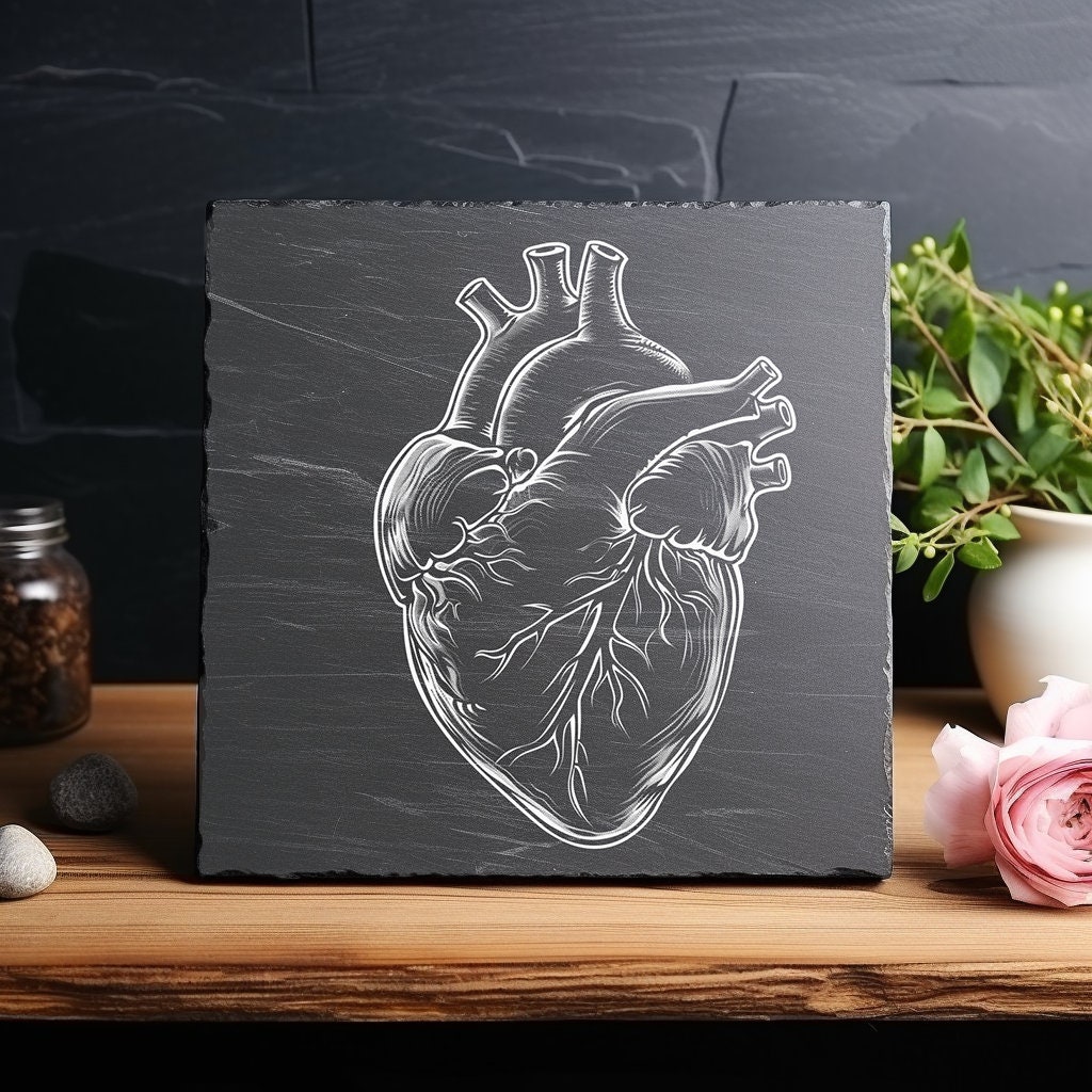 Human Heart Cardiac Anatomy 2D Laser Engraving File Slate PNG Coaster ...