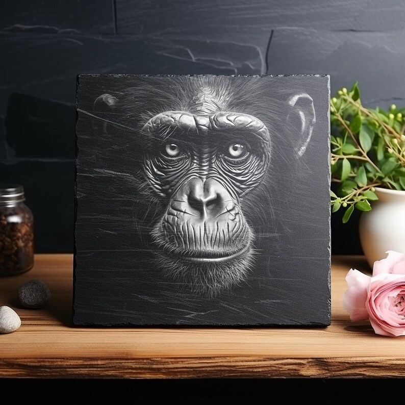 Monkey Ape Gorilla Chimp Orangutan Laser Engraving File Slate PNG ...