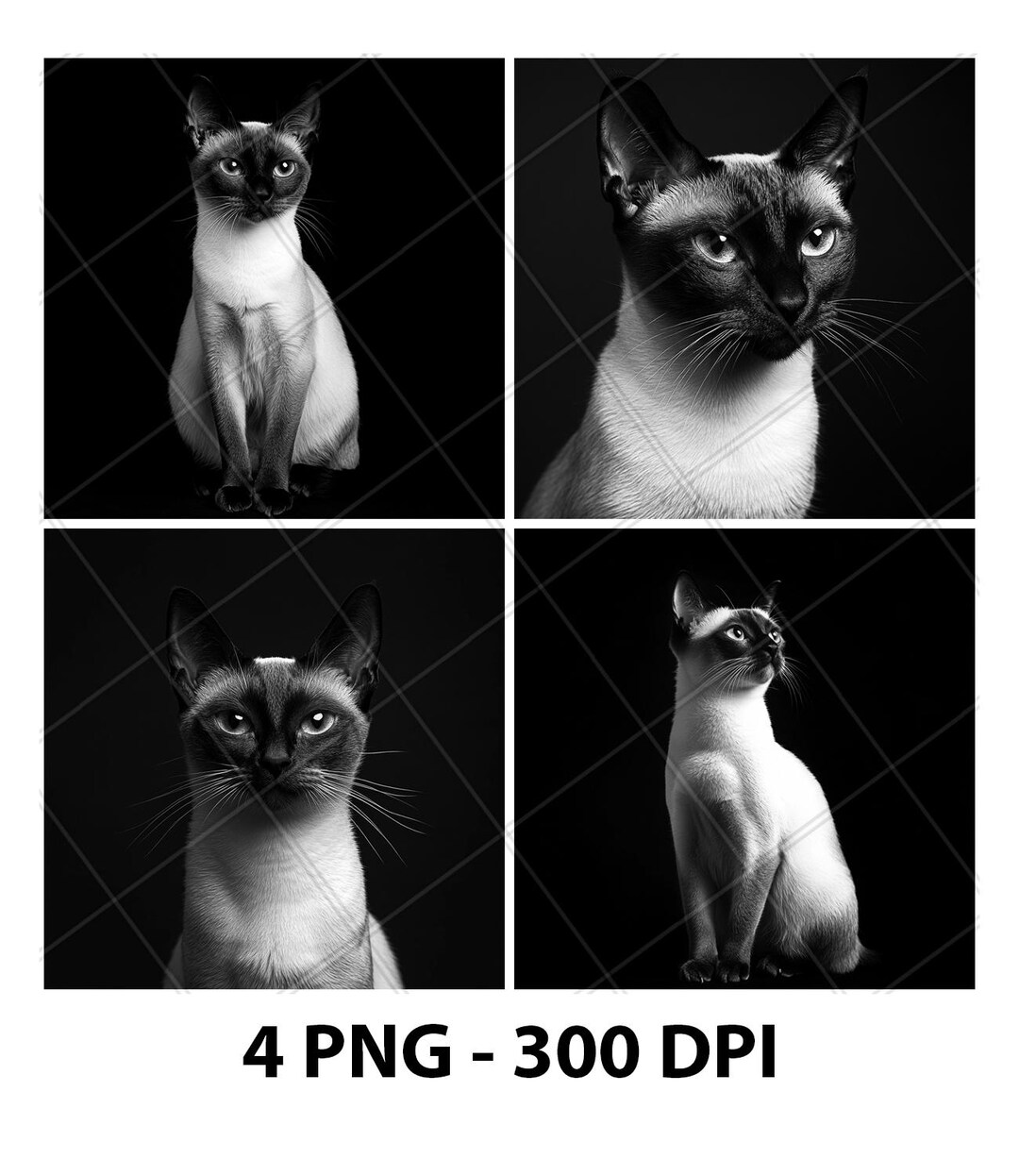 Siamese Cat Breed Portrait Laser Engraving File Slate PNG Coaster Etch ...