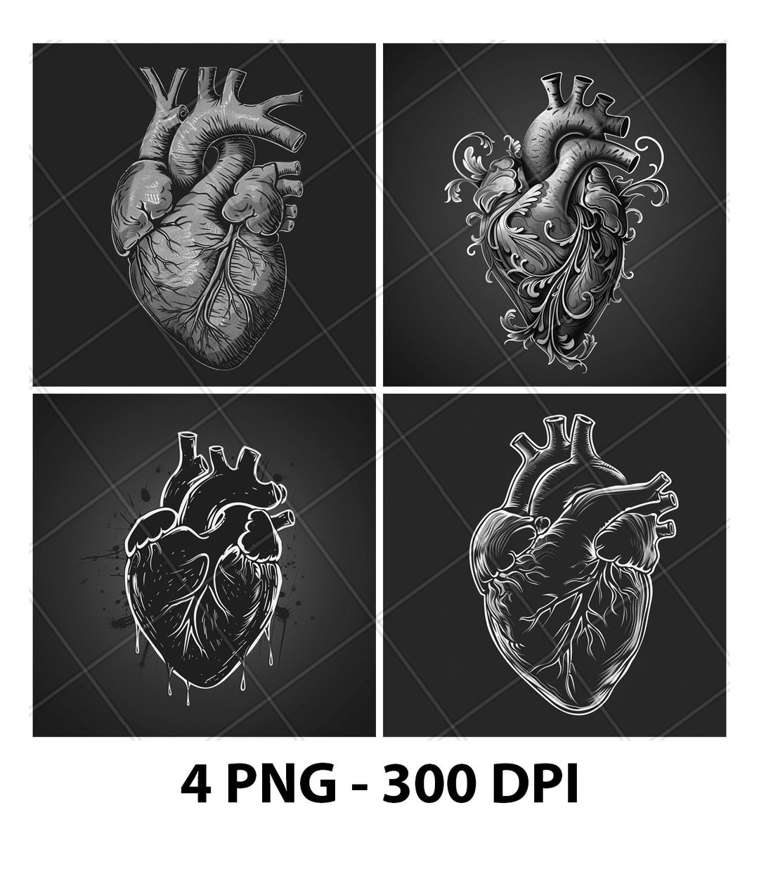 Human Heart Cardiac Anatomy 2D Laser Engraving File Slate PNG Coaster ...