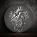 Human Heart Cardiac Anatomy 2D Laser Engraving File Slate PNG Coaster ...