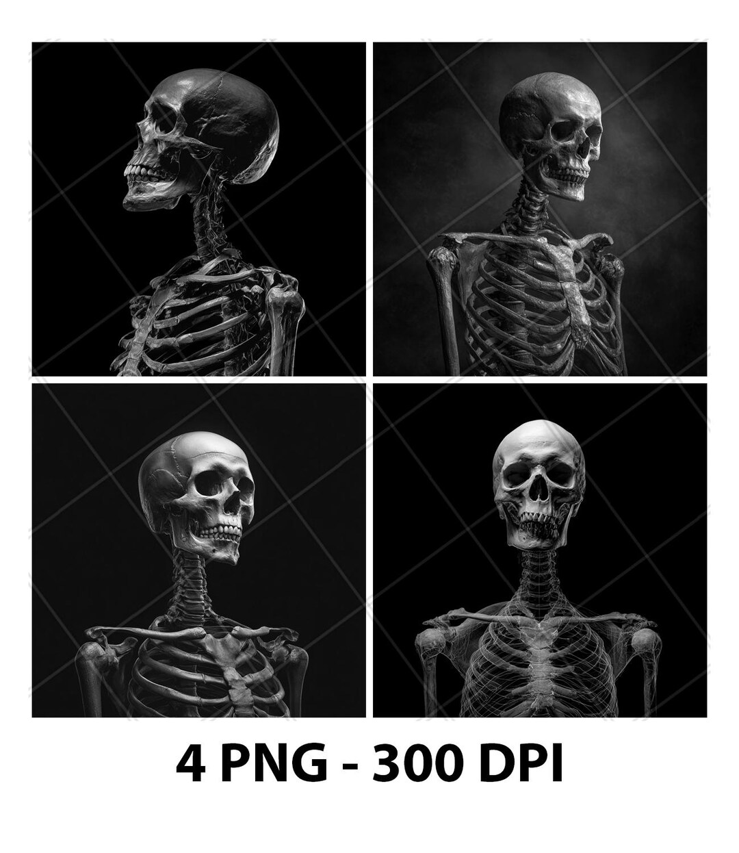 Human Bones Skeleton Anatomy Slate Engraving File Laser Engraved PNG ...