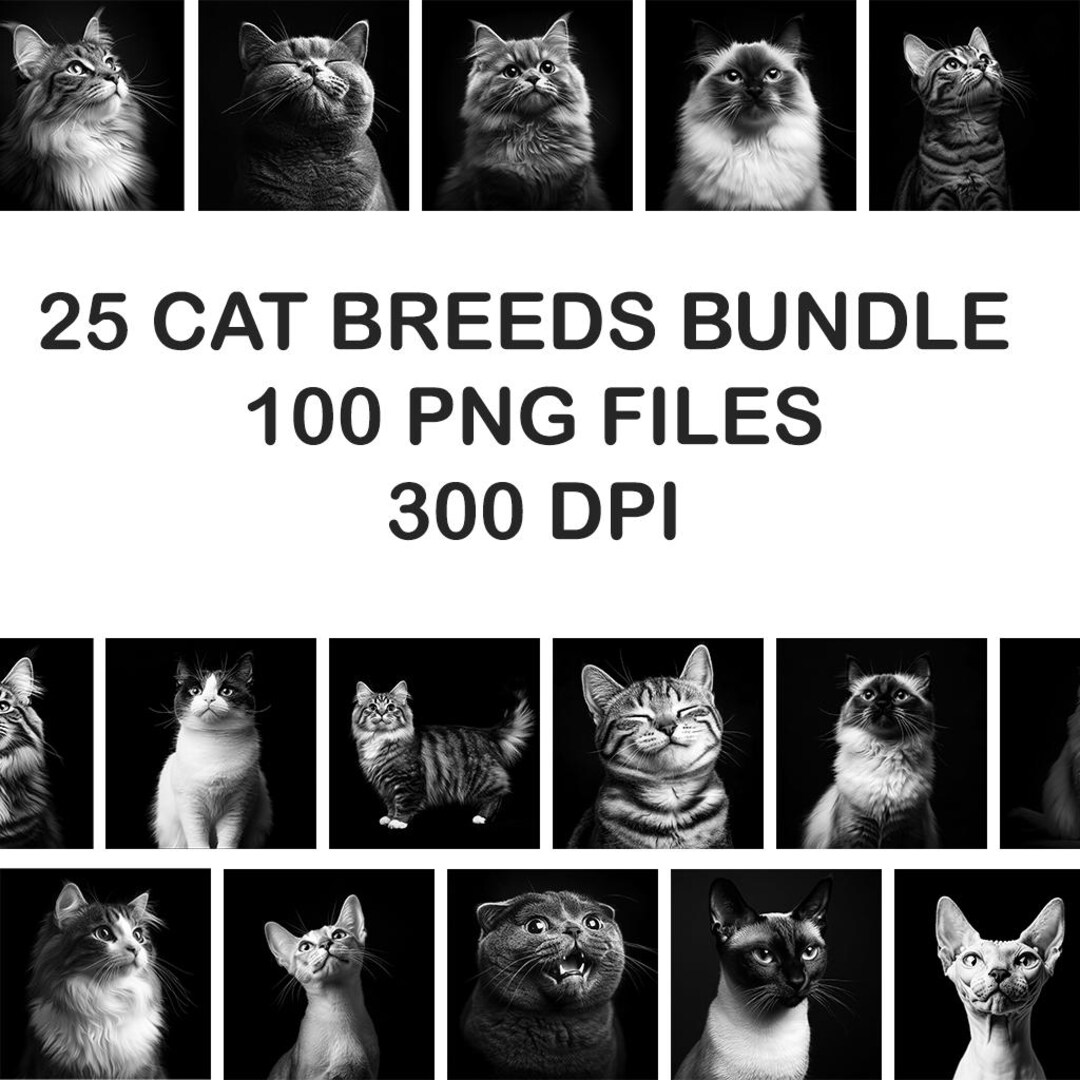 25 Cat Breeds 100 Pngs Portrait Bundle Collection Laser Engraving File ...