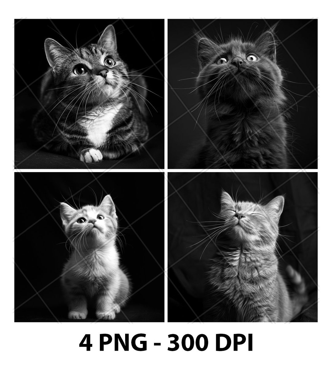 Munchkin Cat Breed Kitten Kitty Pet Laser Engraving File Slate PNG ...