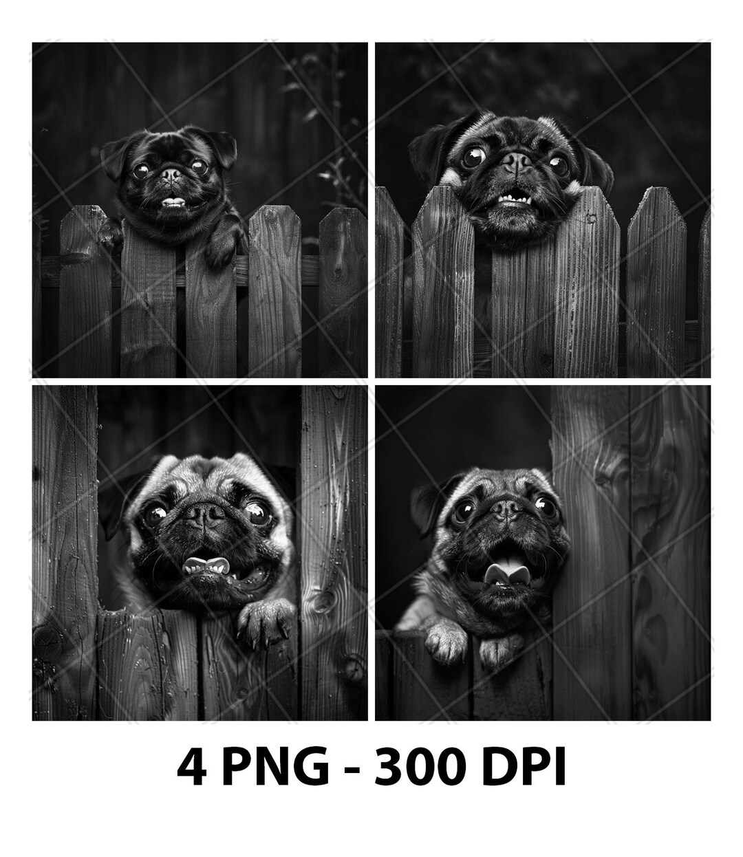 Pug Dog Breed Portrait Peek 2D Laser Engraving File Slate PNG Coaster ...