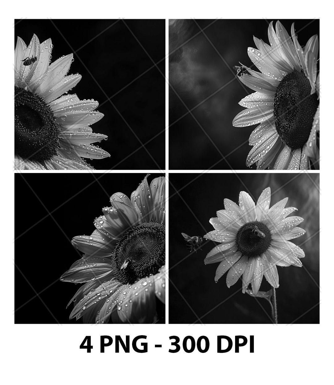 Sunflower Bee Flower Garden Bud Laser Engraving File Slate PNG Coaster ...