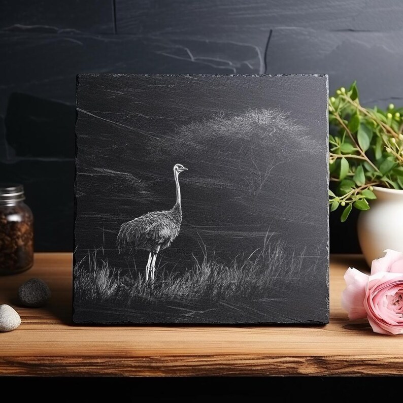 African Ostrich Wildlife Animal Slate Engraving File Laser Engraved PNG ...