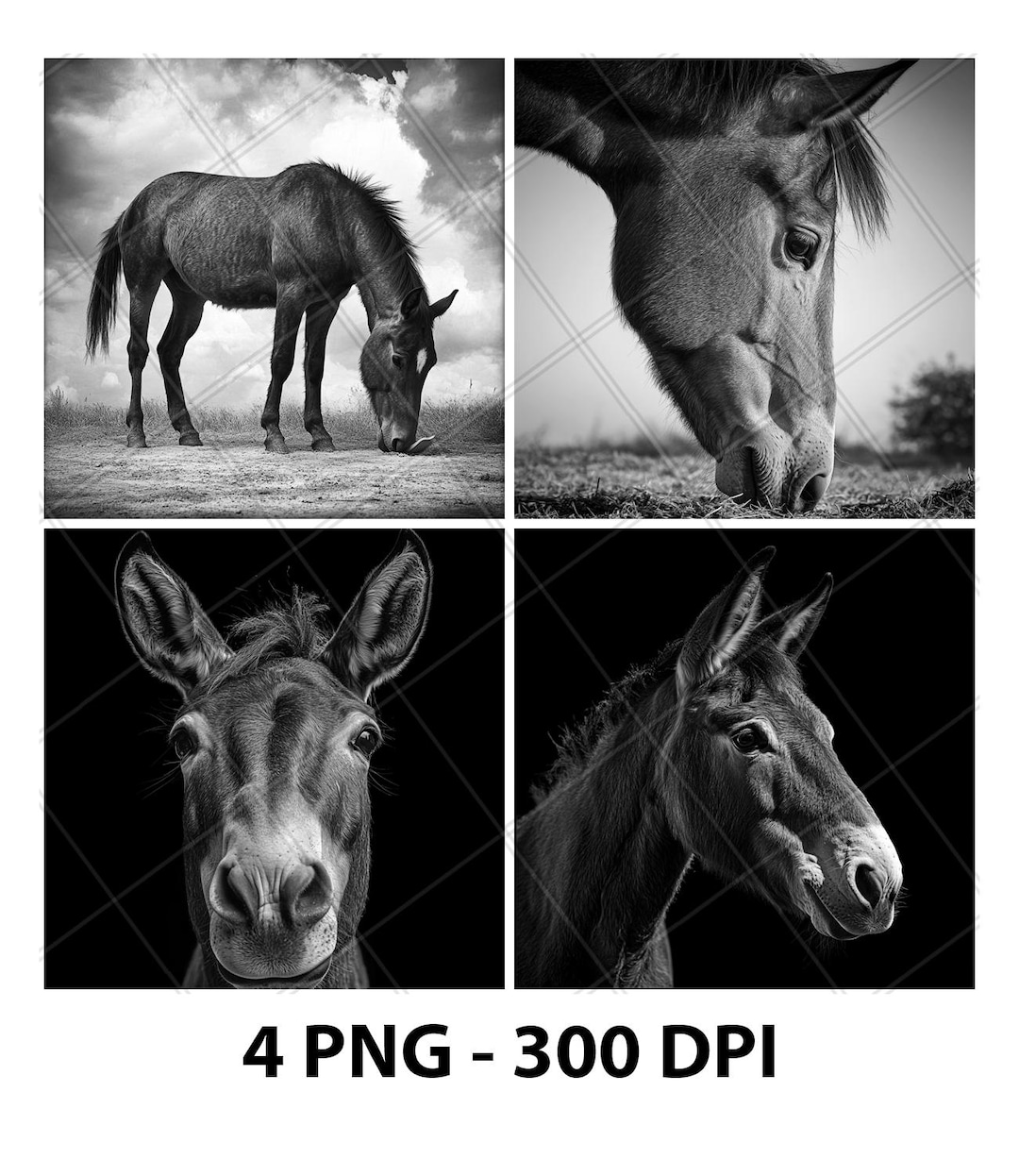 Mule Small Horse Donkey Pony Portrait Laser Engraving File Slate PNG ...