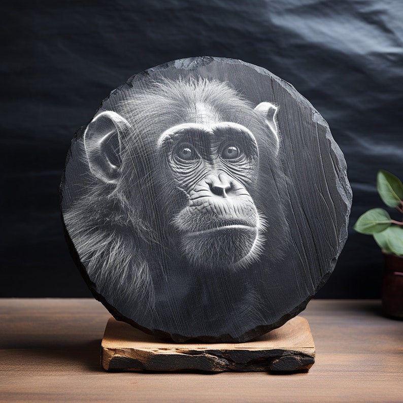 Monkey Ape Gorilla Chimp Orangutan Slate Engraving File Wood Engrave ...