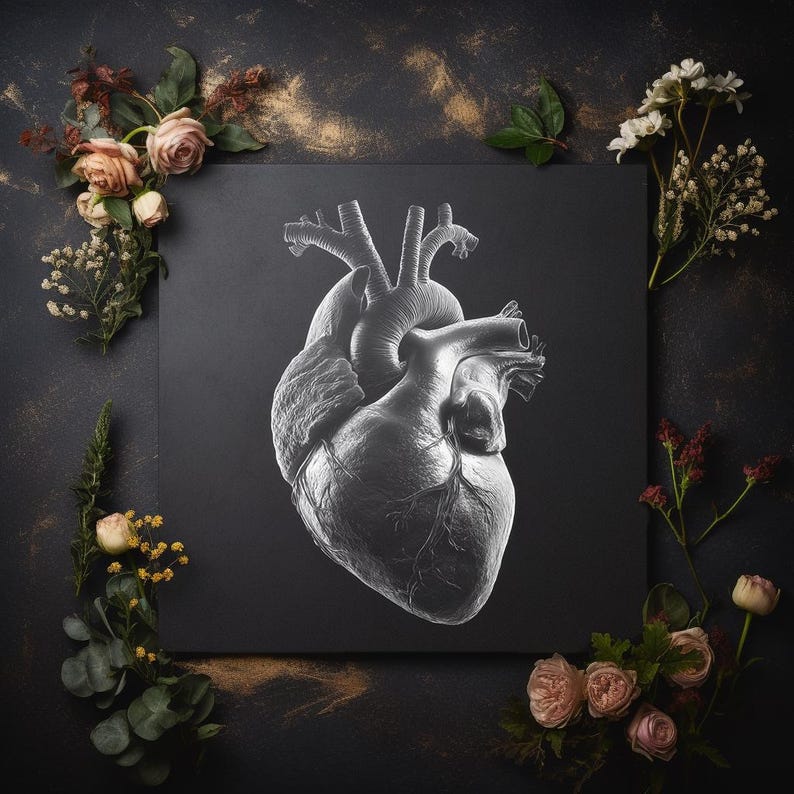 Human Heart Anatomy Real Laser Engraving File Slate PNG Coaster Xtool ...