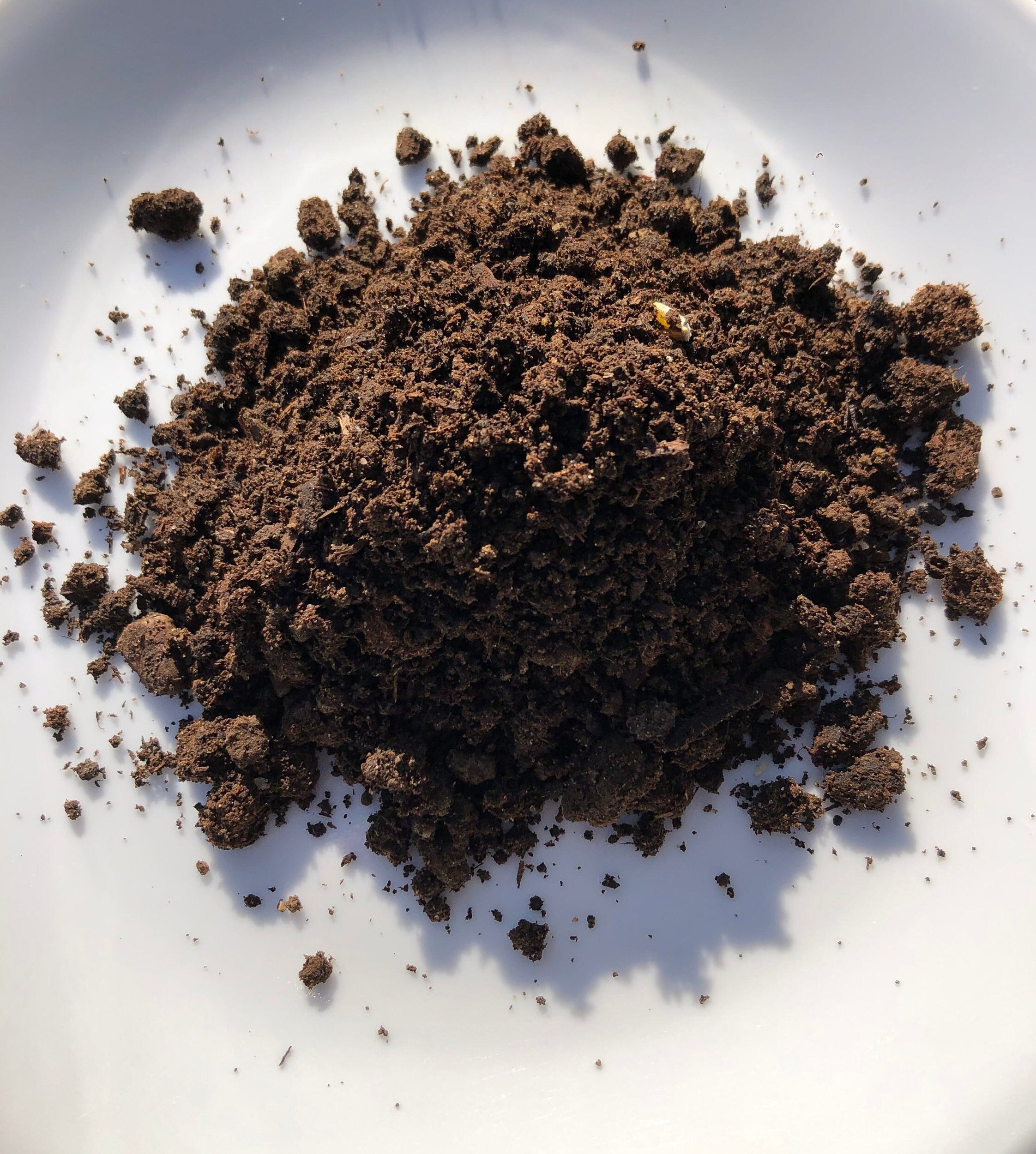 All Natural Cow Manure Fertilizer - Etsy