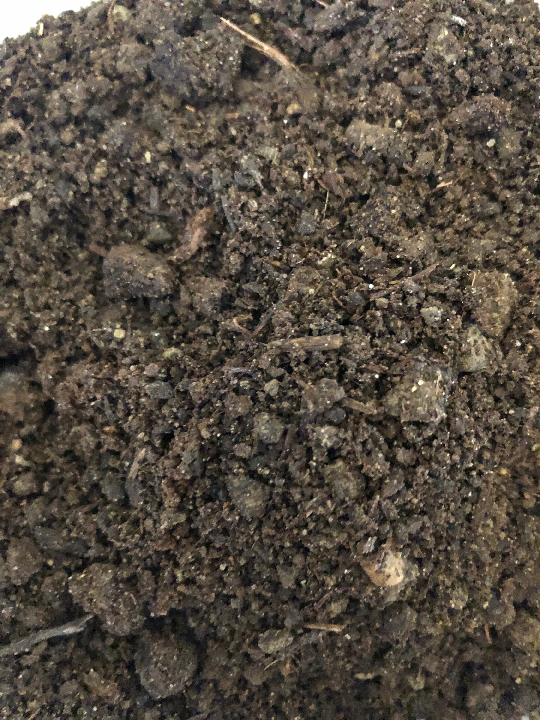 All Natural Cow Manure Fertilizer - Etsy