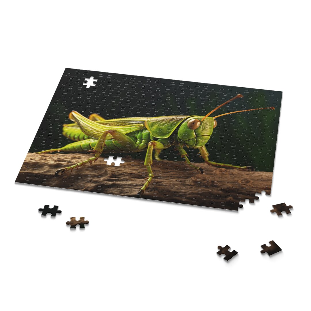 Grasshopper Puzzle, Jigsaw Puzzle, Grasshopper, Nature Puzzle, Nature ...
