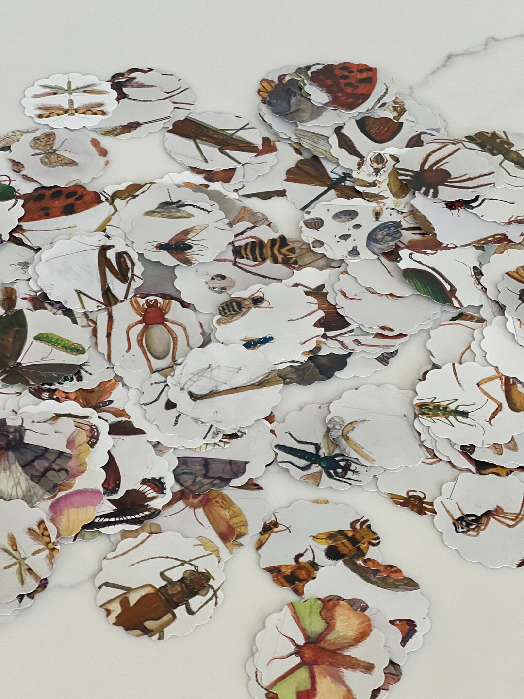 Watercolor Insect Confetti: Scallop Paper Cutouts, Bug Theme (50 Pieces ...
