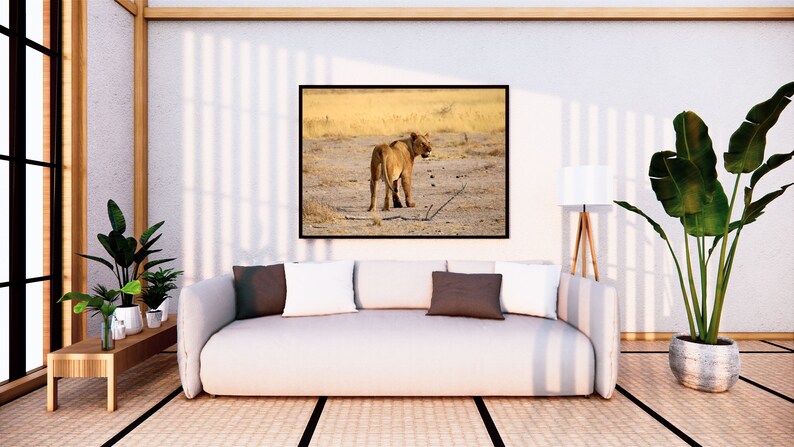 Lioness Print, Lioness Digital Poster, Lioness Safari Wall Art, Animal ...