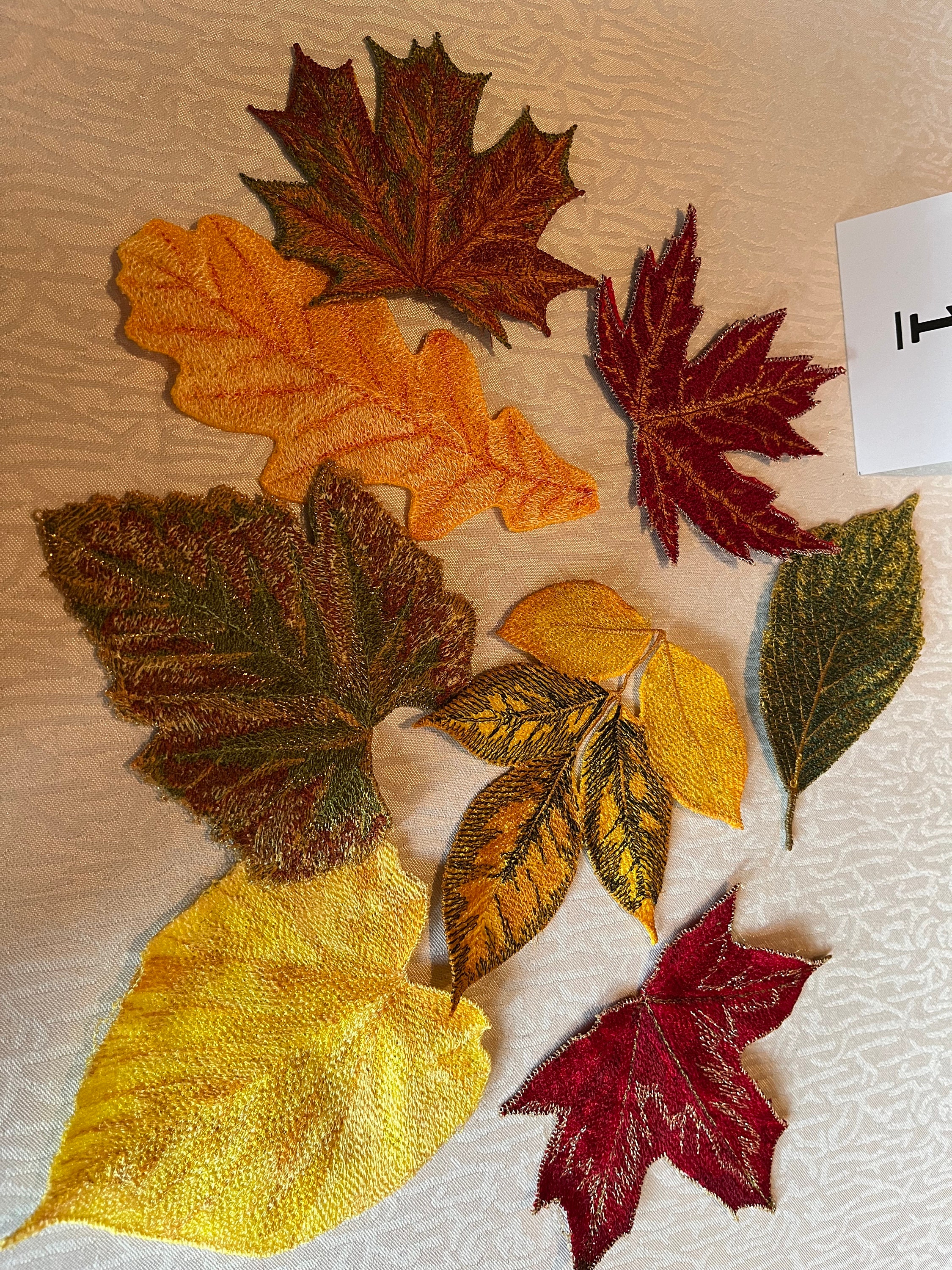 Decor 1: Free Standing Lace Fall Leaves, Set of 8 Assorted Leaves. Size ...