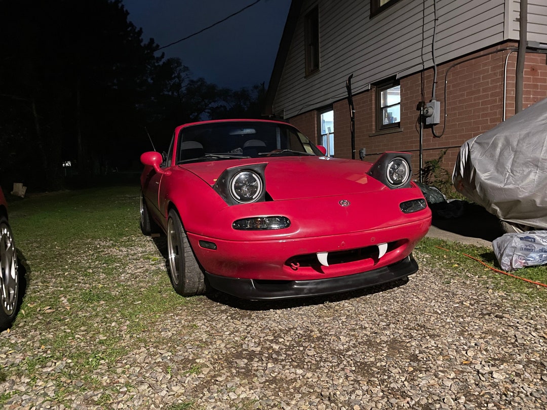 Universal Car Vampire Teeth / Bumper Fangs / Halloween Car Decoration ...